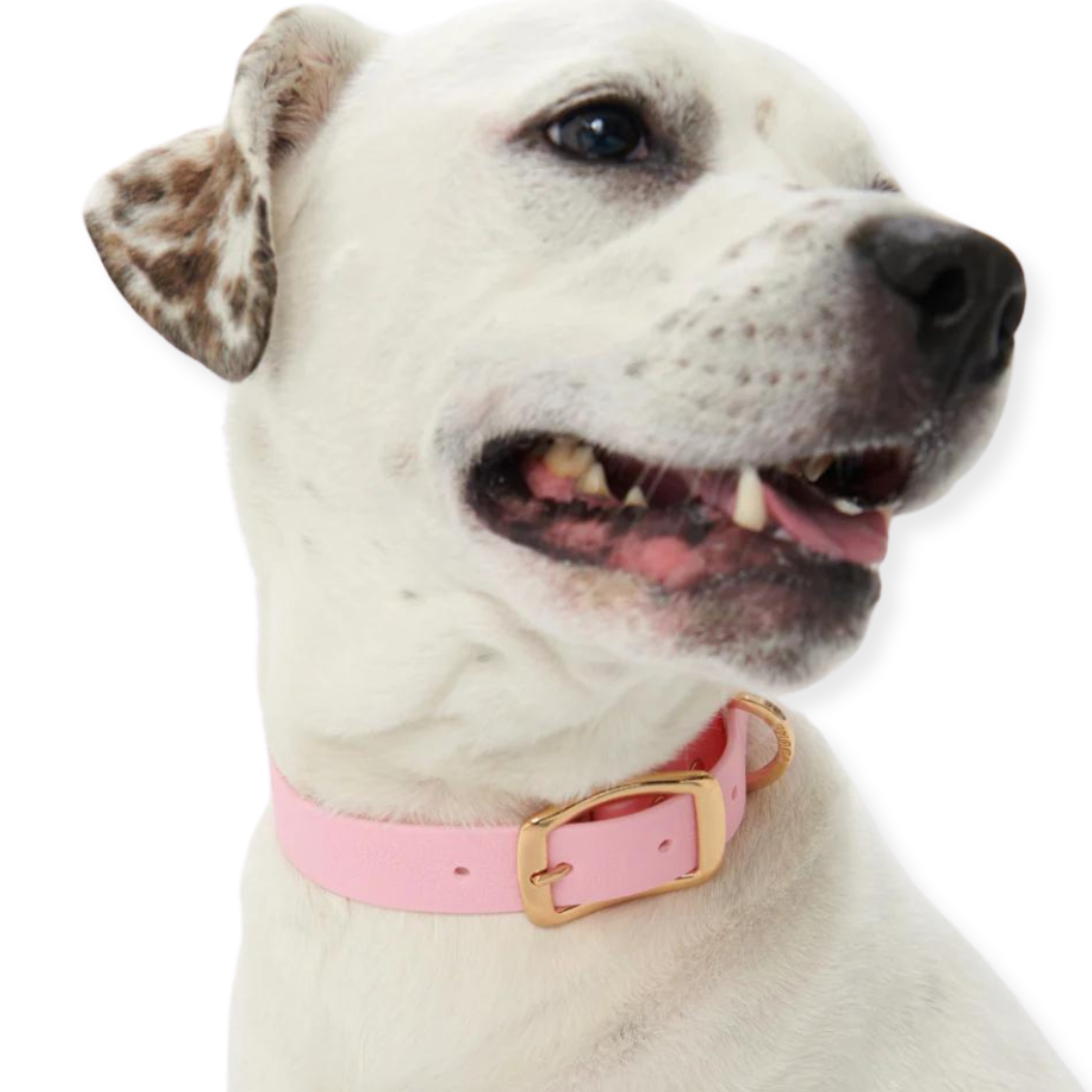 Collar – Furei Pets