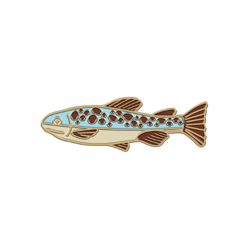Fish – Furei Pets