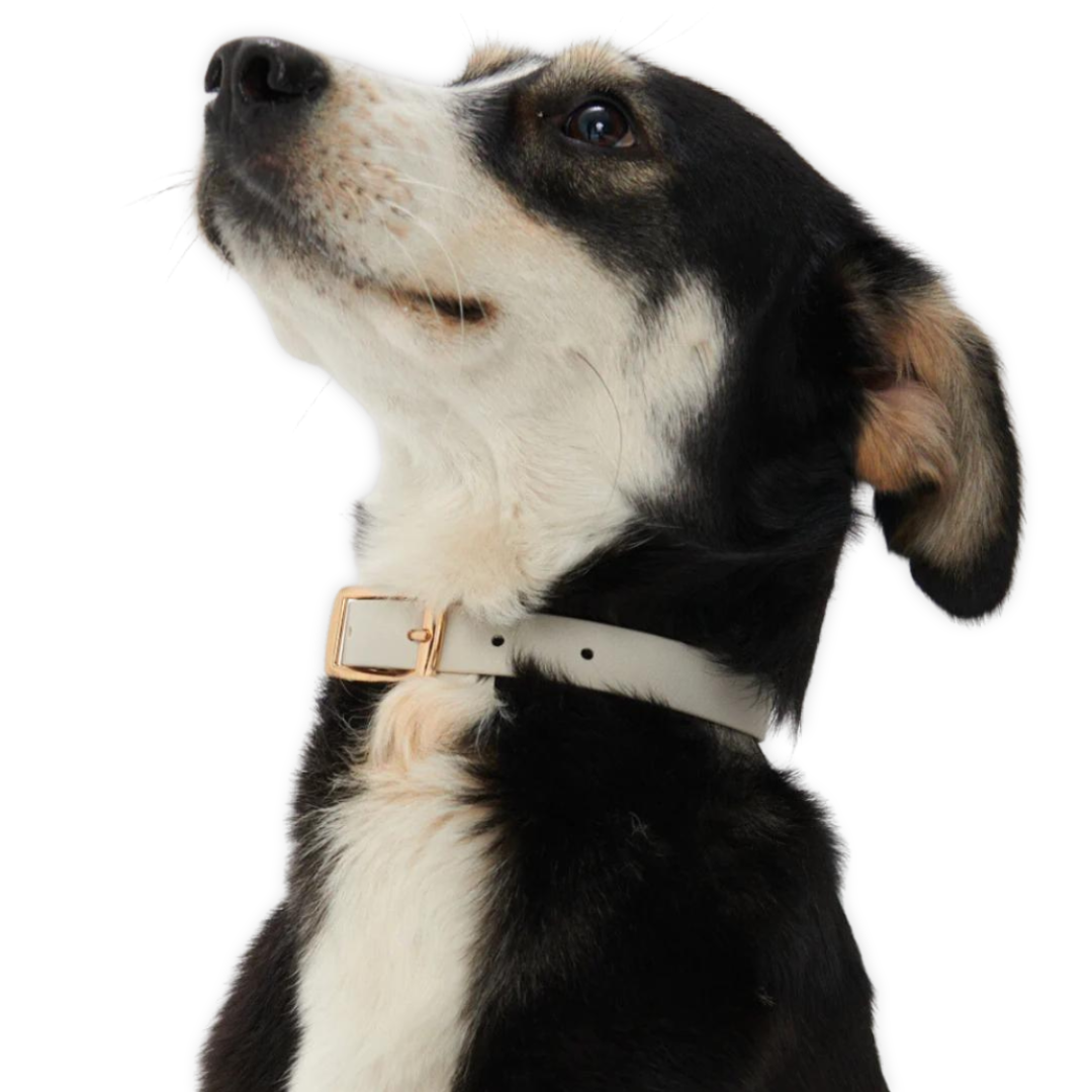Collar – Furei Pets