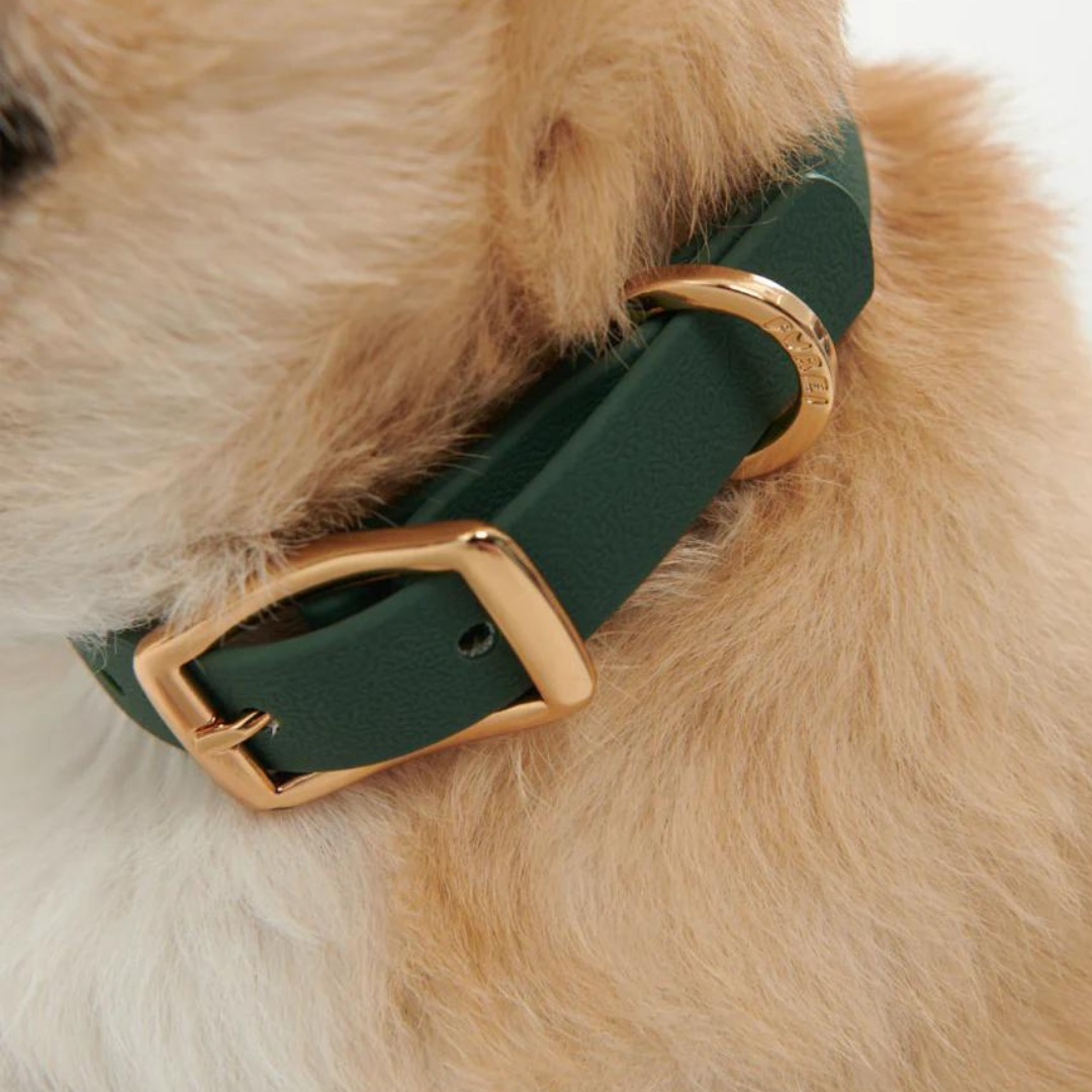 Collar – Furei Pets