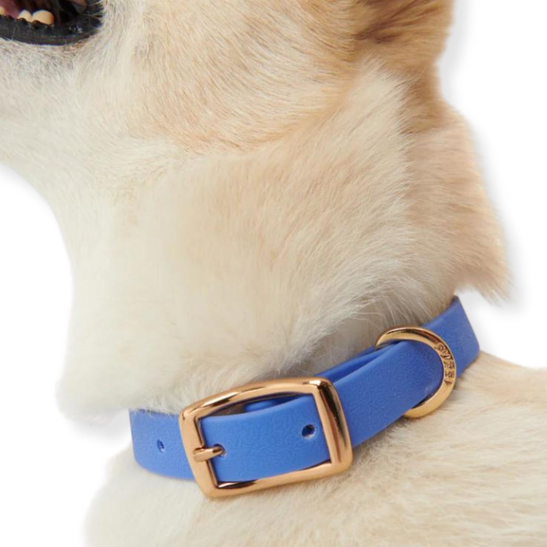 Collar – Furei Pets