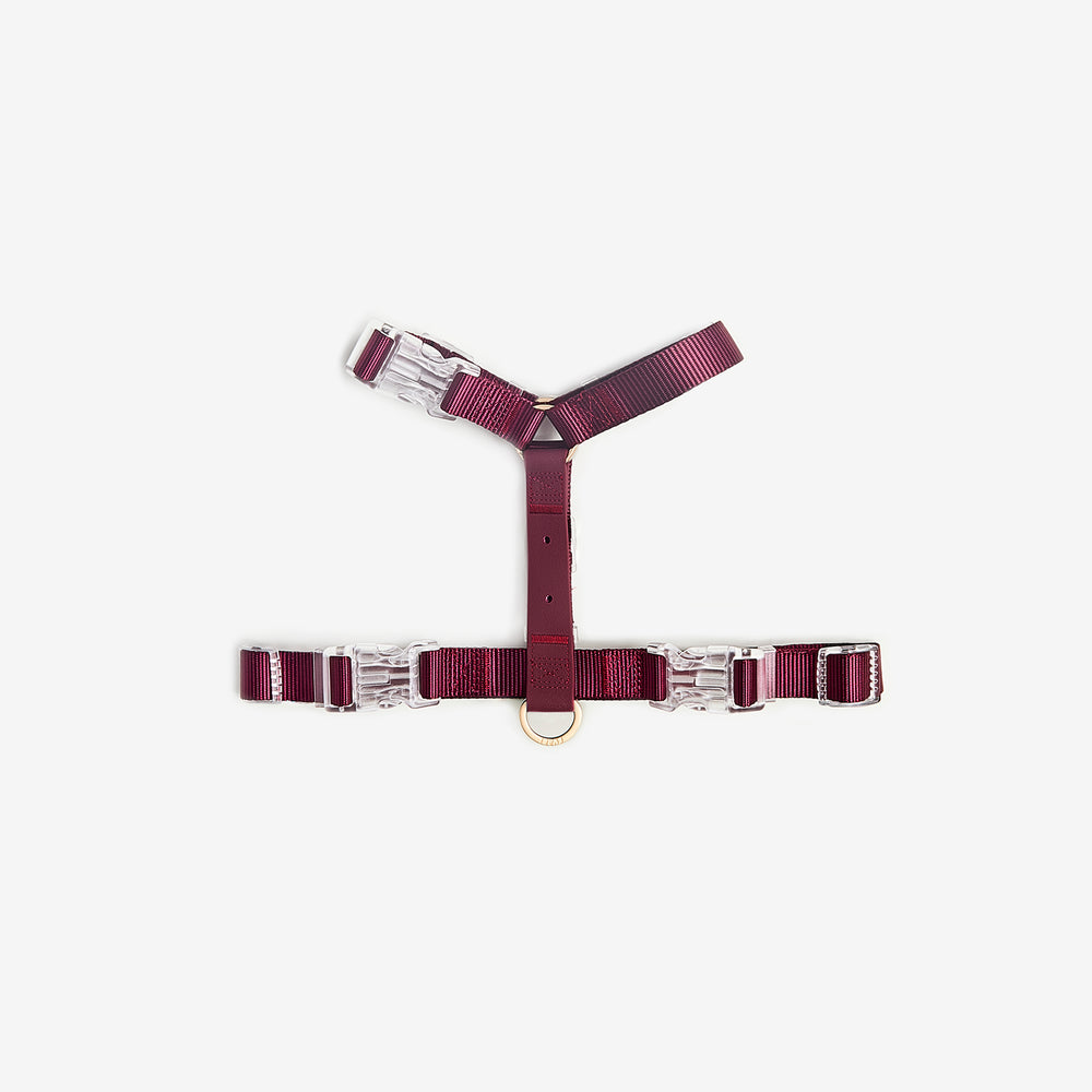 Shop All – Furei Pets