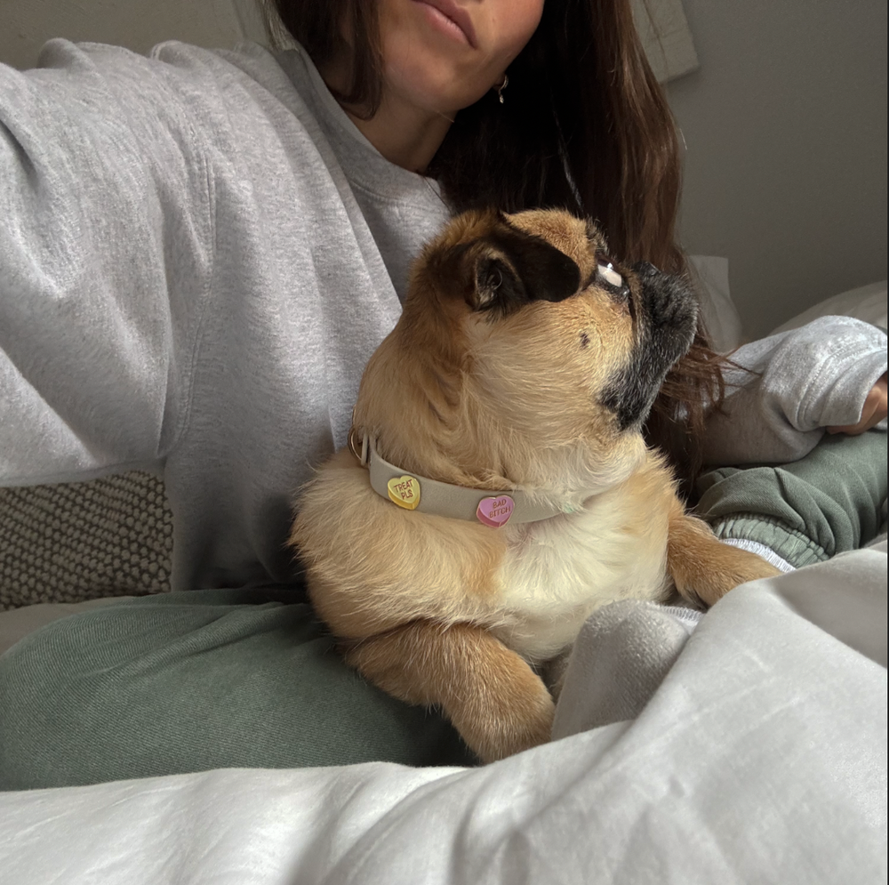 Furei Collective – Furei Pets