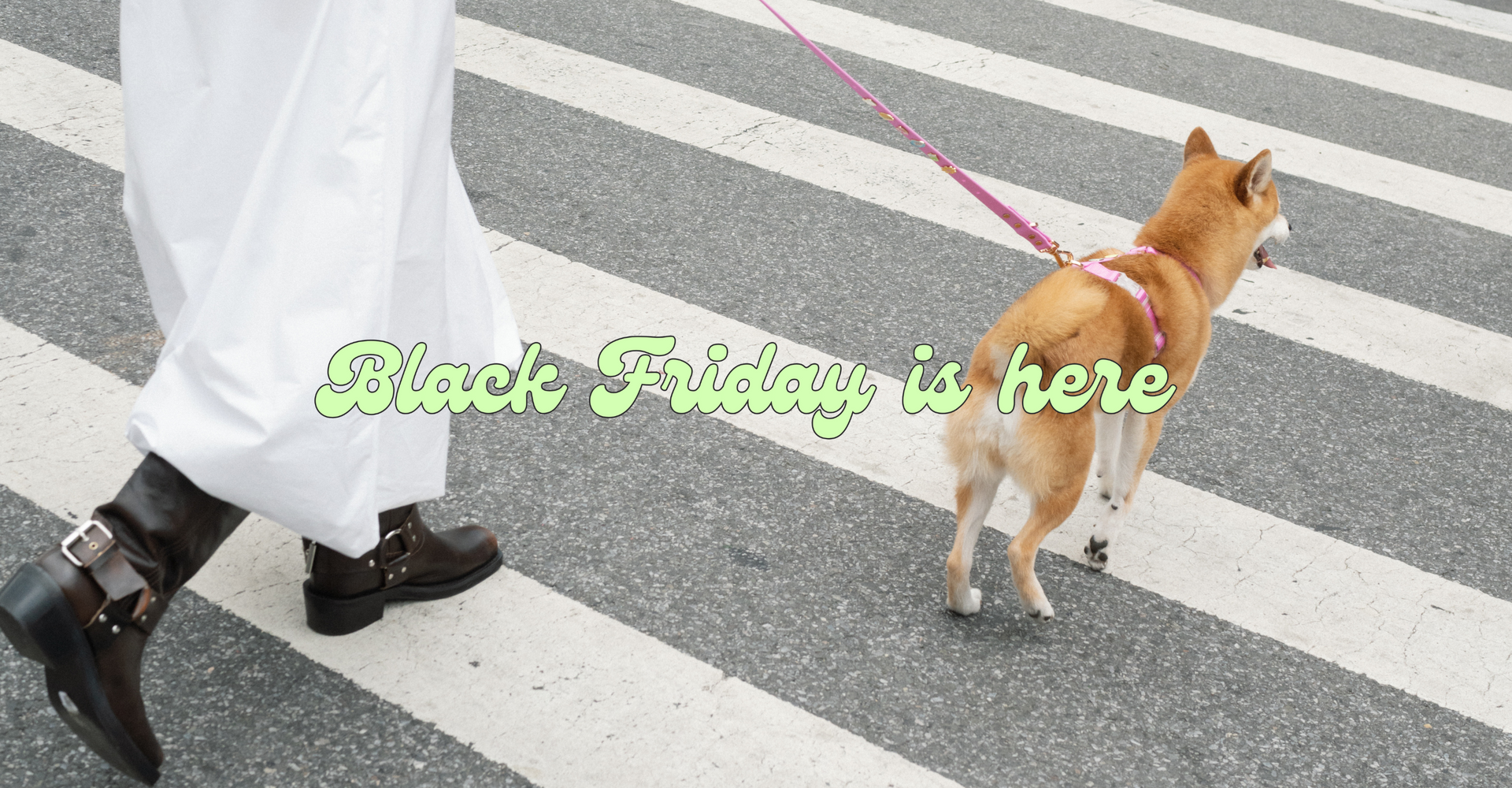 Shop All – Furei Pets