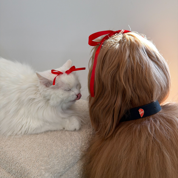 Furei Pets