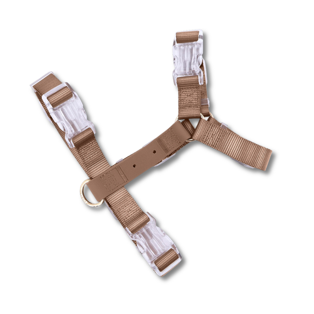 Shop All – Furei Pets